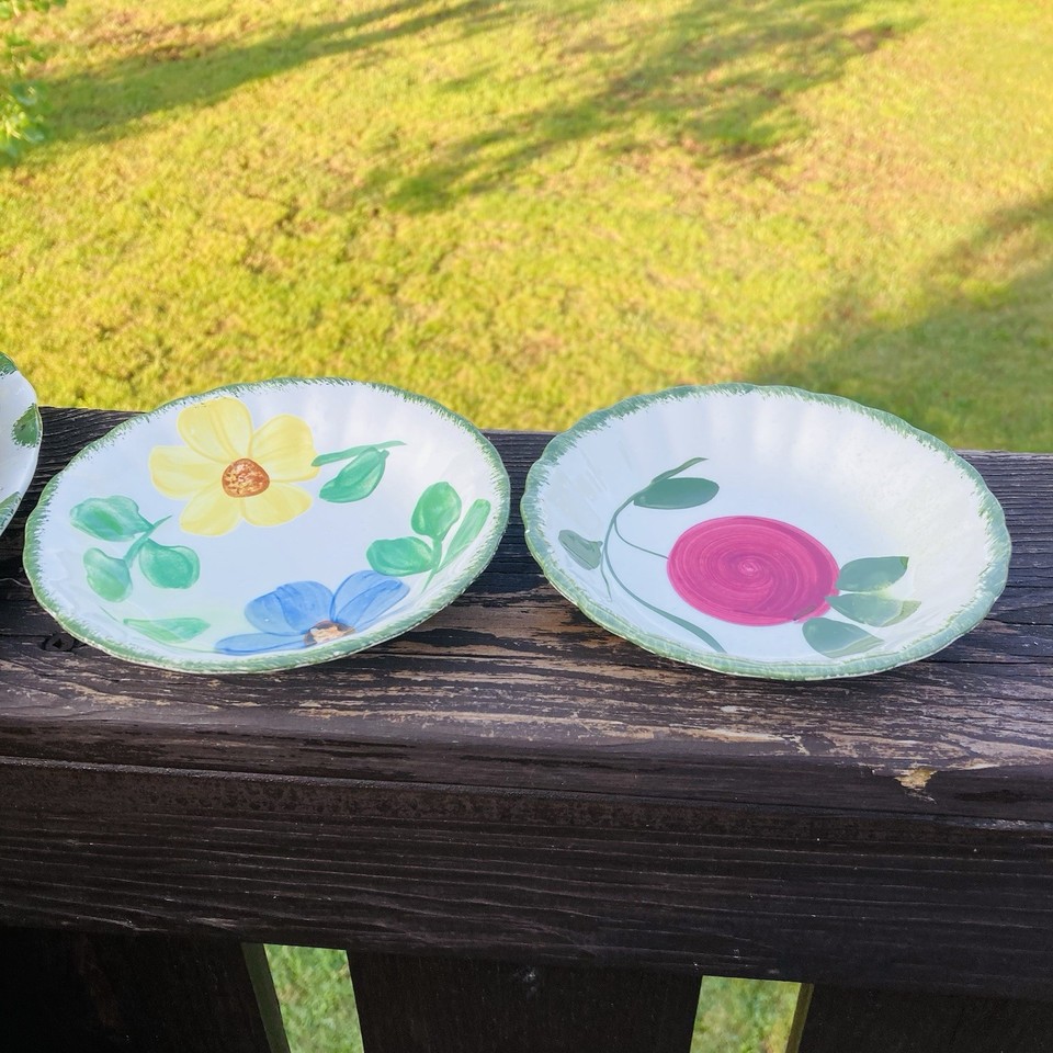 Blue Ridge Southern Potteries Fruits & Floral Plates & Bowls USA Hand ...