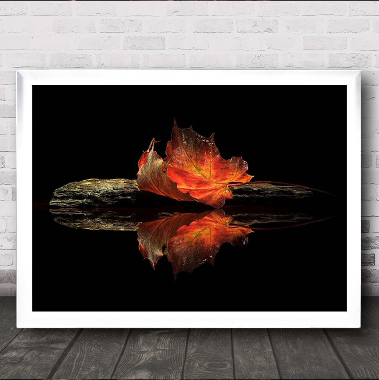 Autumn Colors Leaf Leaves Fall Season Seasonal Curled Wall Art Print | eBay