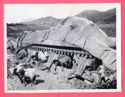 1945 USMC Marine Sherman Tank Iheya Shima Near Okinawa Original News ...