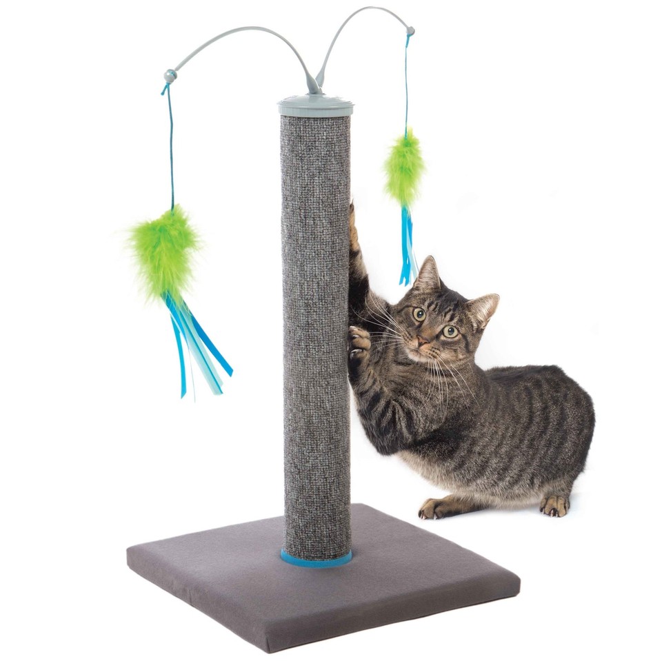 Scratch 'N Spin Cat Toy, Interactive Spinning Wand, Multicolored | eBay