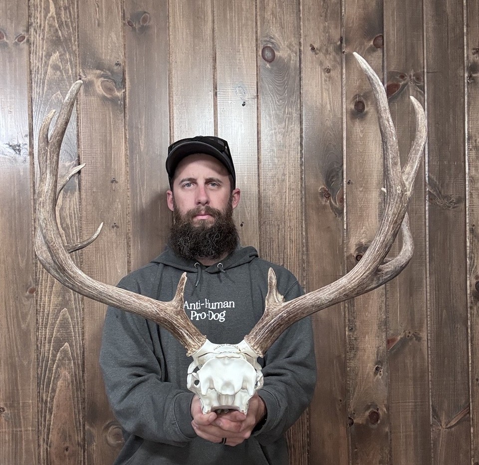 Dark Perfect 5x5 Mule Deer Antler Horn Fake Skull Mount Taxidermy Rack ...