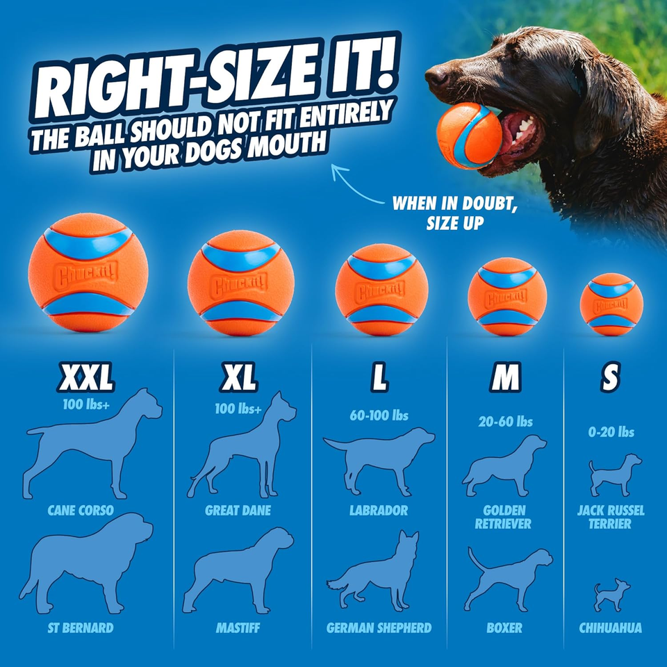 Chuckit! Ultra Ball Dog Toy - Medium Bouncy Fetch Balls For Dogs 20-60 ...