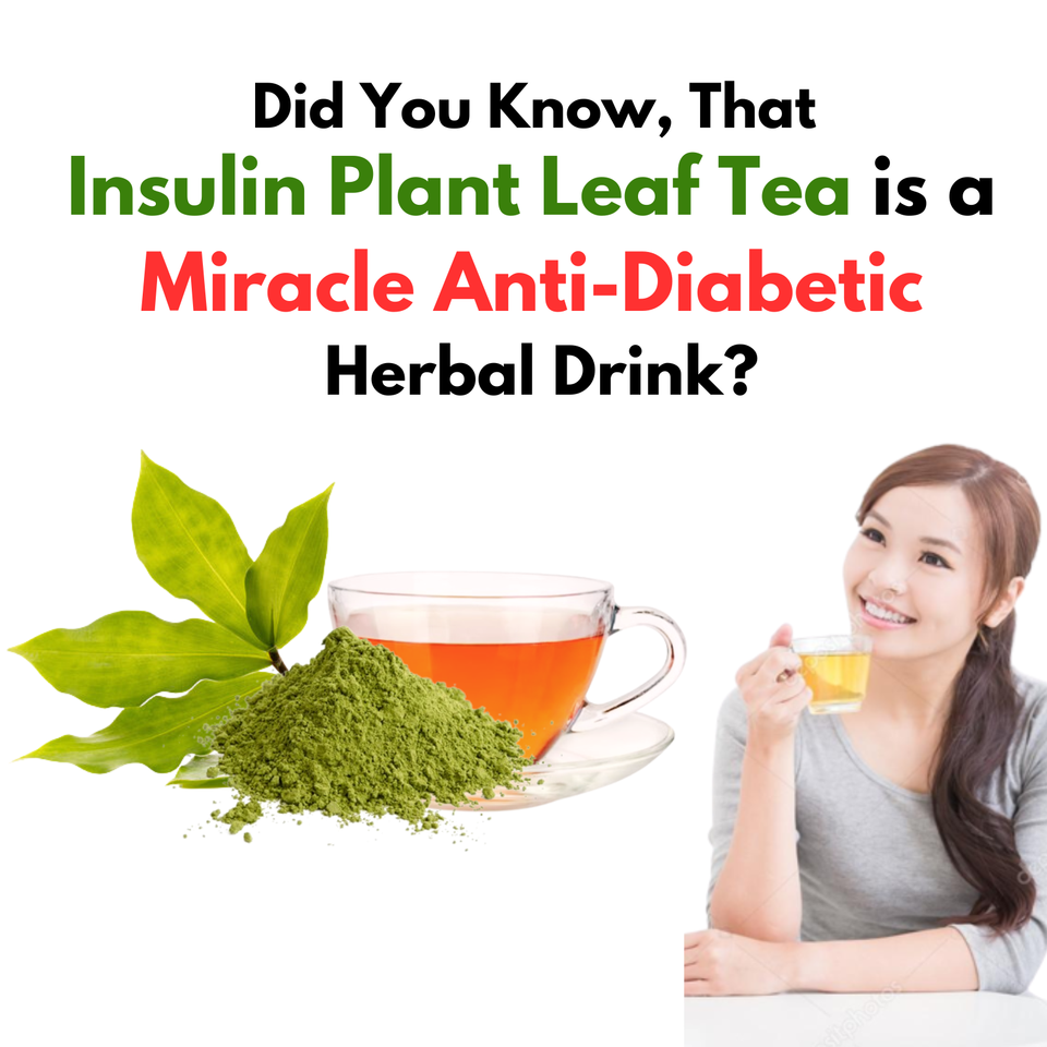 Insulin Plant Leaf Powder Thebu Costus Igneus Leaves Diabetic Herbal ...