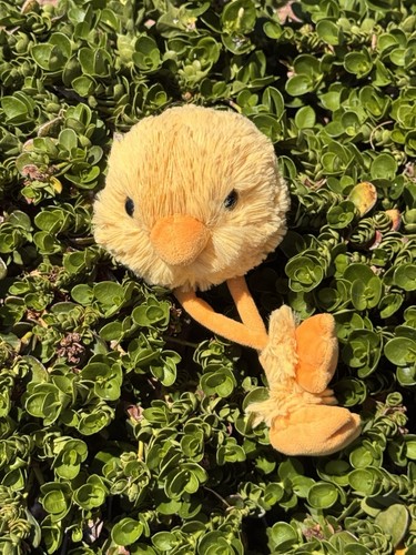 Jellycat London Yellow Zingy Chick Plush Toy Stuffed Animal 7 Inch | eBay