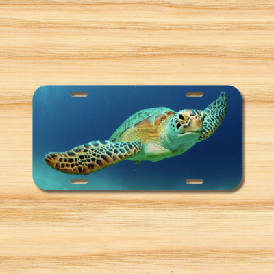 Sea Turtle License Plate Front Vehicle Auto Tag Ocean Beach Sea FREE ...