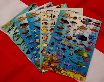 Fish ID Reef Creatures cards 4x6" Franco scuba diver snorkeler fish ...
