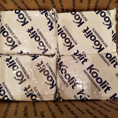 24 Foam Ice Pack Refrigerants 5x4x1 KOOLIT Brick Travel Shipping TSA ...