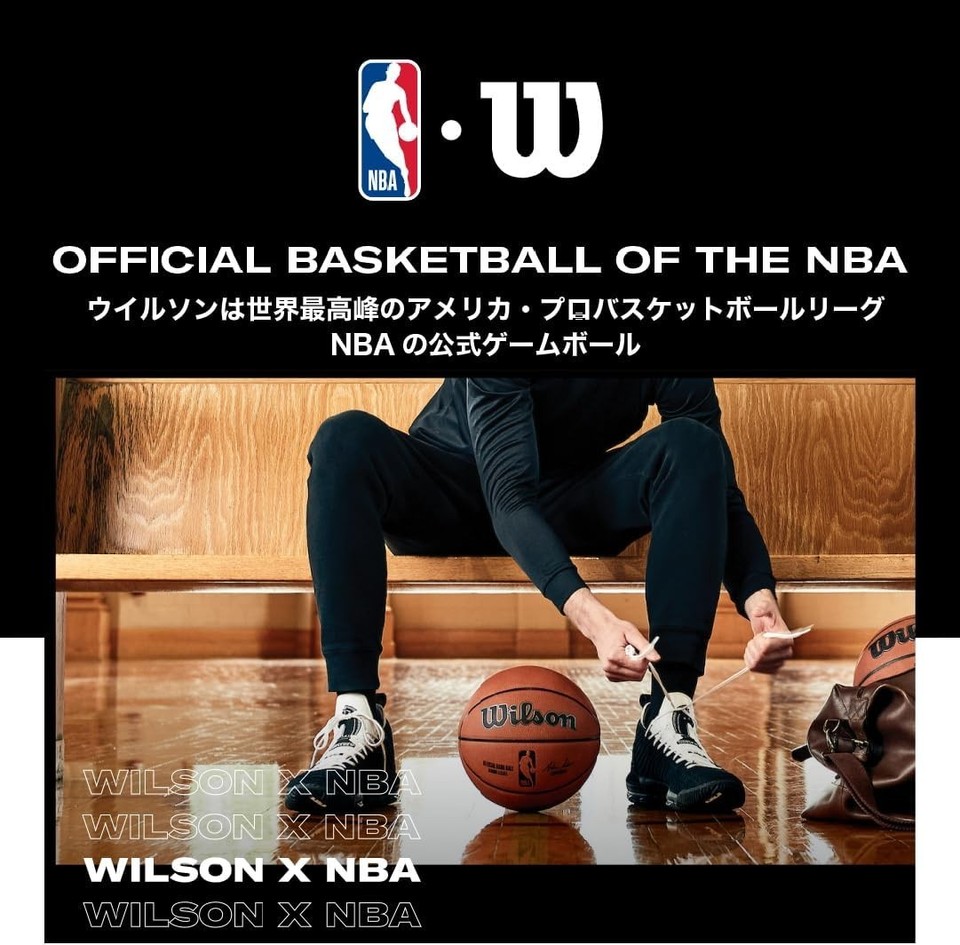 Wilson Evolution Basketball 29.5” Official Indoor Game Ball Black ...