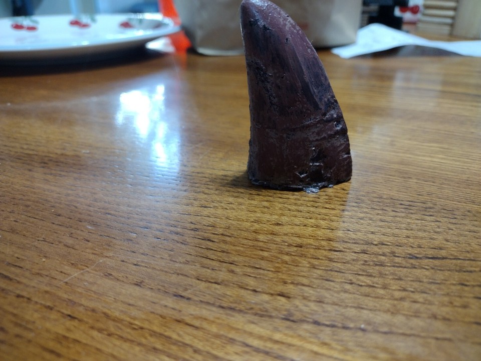 Tyrannosaurus rex tooth replica ( medium). Lance formation fossil. | eBay