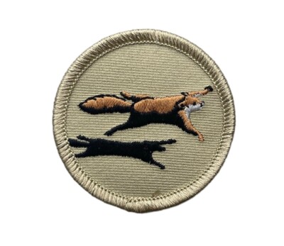 BSA Licensed Boy Scout Flying Squirrel Patrol 2 Inch Patch AVABQ0338 ...