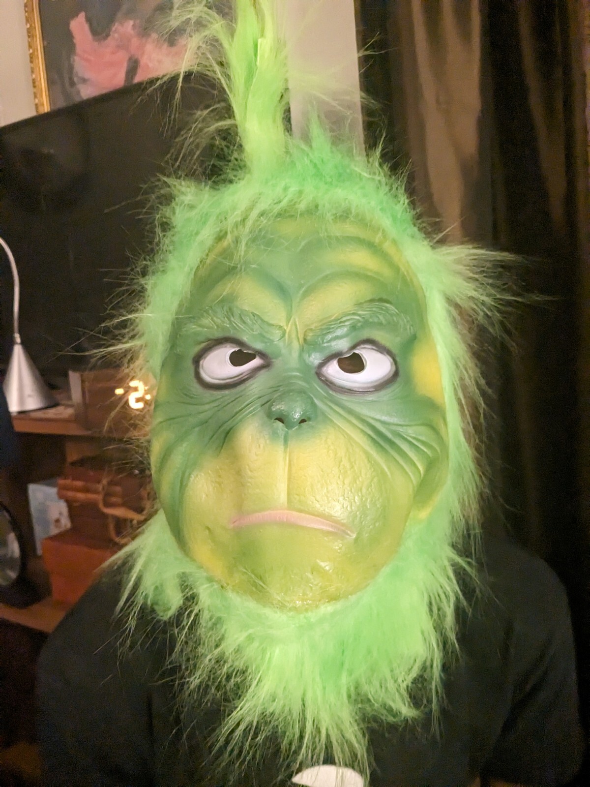 Grinch Mask - be a Christmas grinch! Fabulous Realist… - Gem