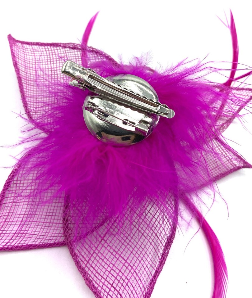 Ladies Feather Beak Clip Fascinator Weddings Races Royal Ascot Hair ...
