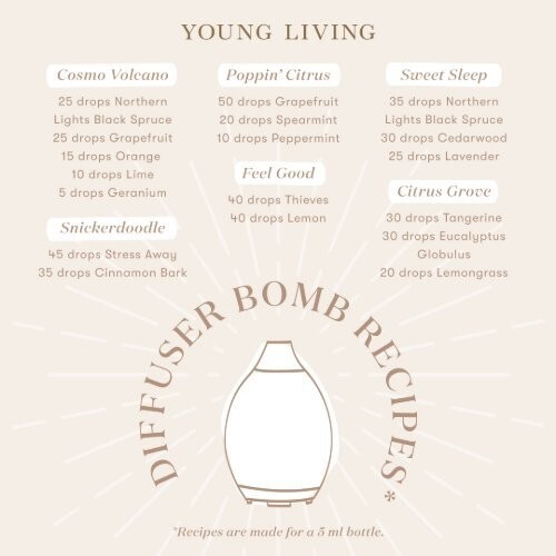 New Young Living Rainstone Diffuser w/Remote Factory Sealed | eBay