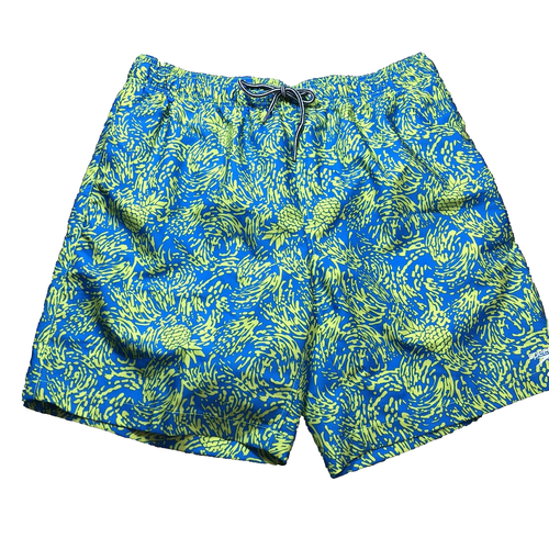 Speedo Swim Trunks Men Large Blue Green Pineapple Lined swimwear board ...
