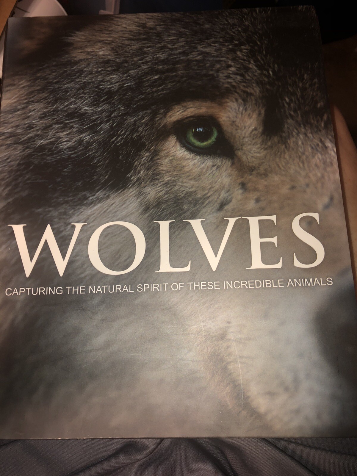Wolves by Monty Sloan and Shaun Ellis (2012, Trade Paperback) for sale ...
