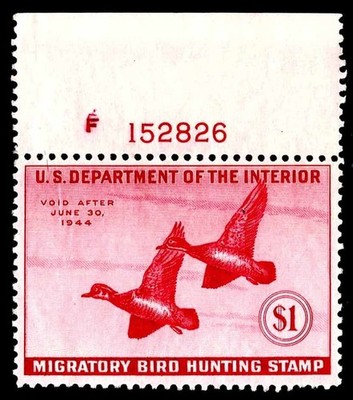 RW10 MINT FEDERAL DUCK STAMP MOG-H - VF - CV = $55.00 (ESP#4872) | eBay