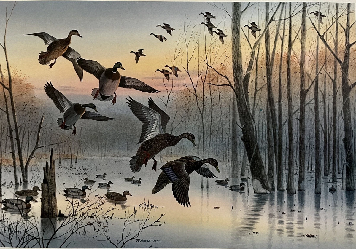 Ducks Unlimited Art Contest