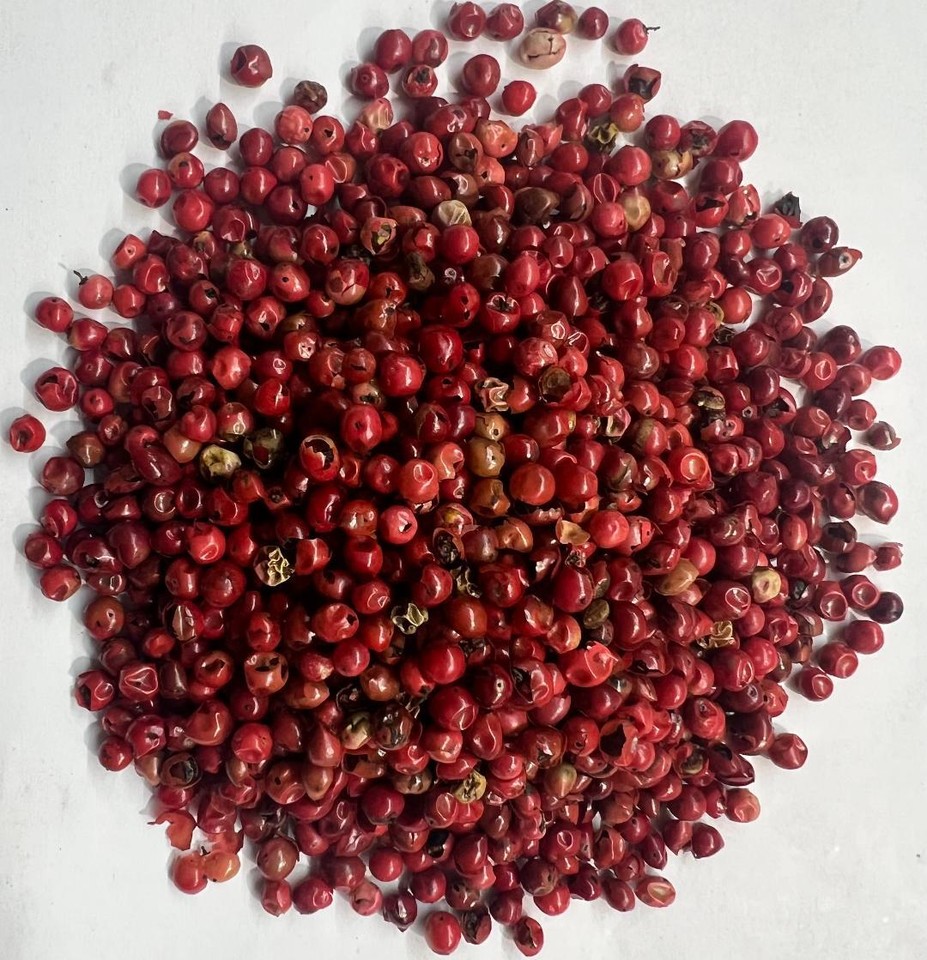 Bulk Wholesale Seasoning, Herbs & Spice (select Spice from drop down ...