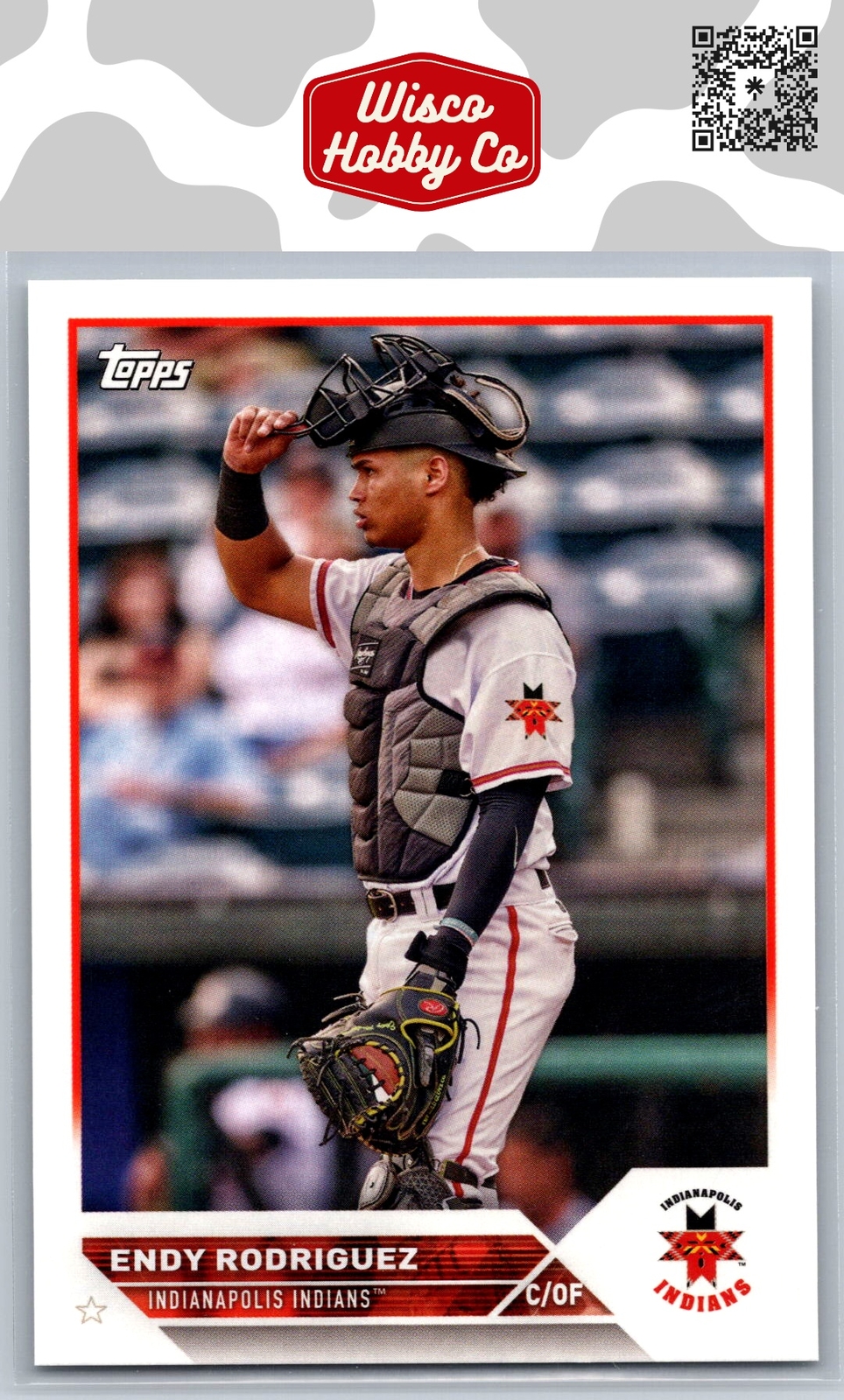 2023 Topps Pro Debut - Endy Rodriguez #PD-81 Indianapolis Indians | eBay