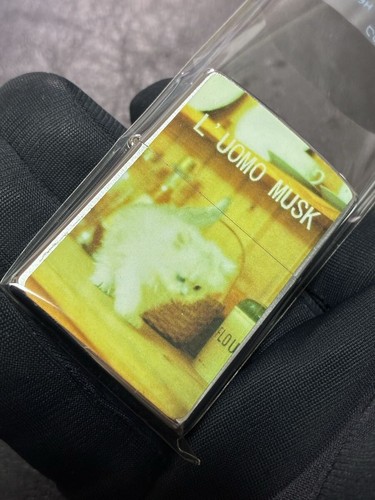 Zippo Cat Silver raro modello 2005 mai usato con interni in argento | eBay