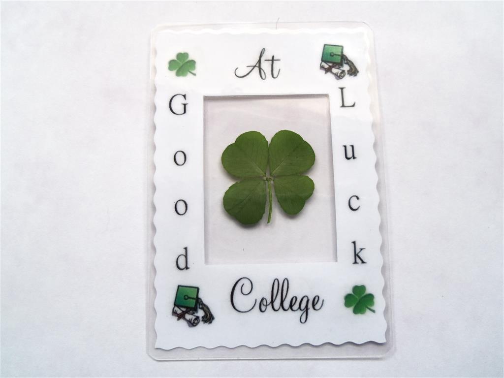 real four leaf clover, goodluck gift, keepsake, lucky clover,genuine 4 ...