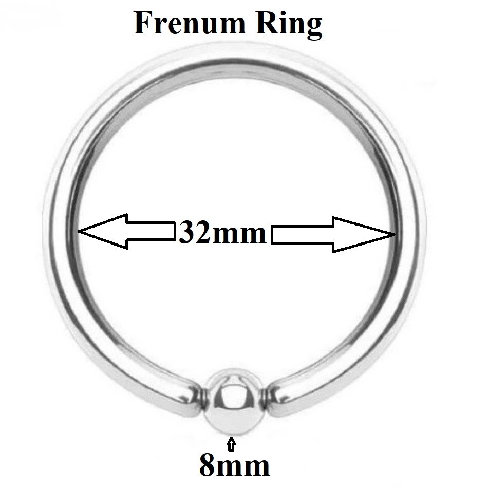 316L Surgical Steel 10, 8g & 6g 1-1/4" Diameter 8mm SOLID Ball FRENUM ...