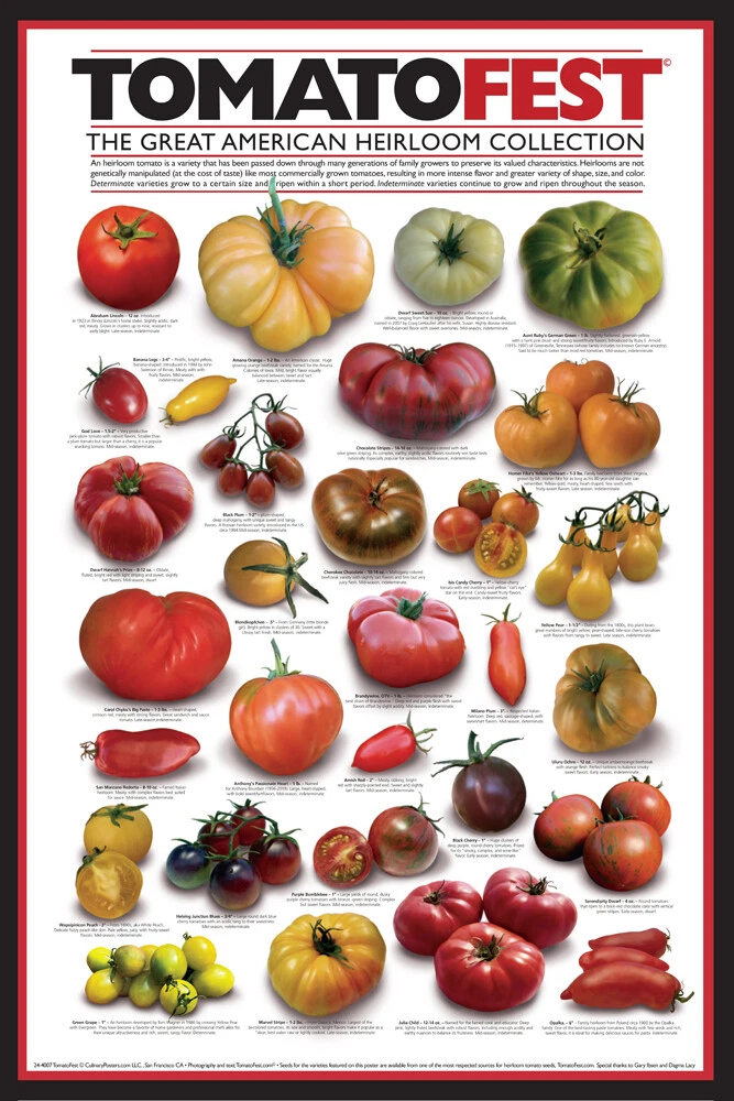 Types Of Heirloom Tomatoes