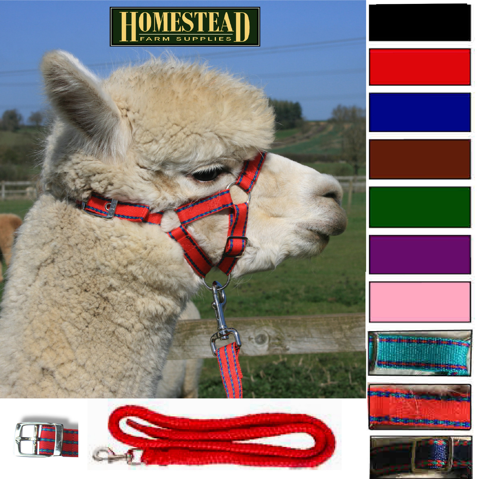 Llama Alpaca Headcollar Buckle Fastening Halter With LEAD - 11 Colours ...