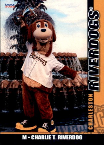 2022 Charleston RiverDogs Choice #39 Charlie T. Riverdog MASCOT NM ...