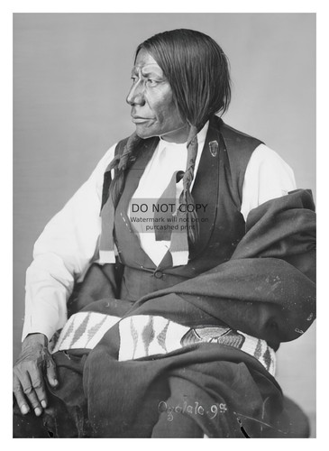 CHIEF BLUE HORSE OGLALA LAKOTA NATIVE AMERICAN INDIAN 5X7 PHOTO | eBay