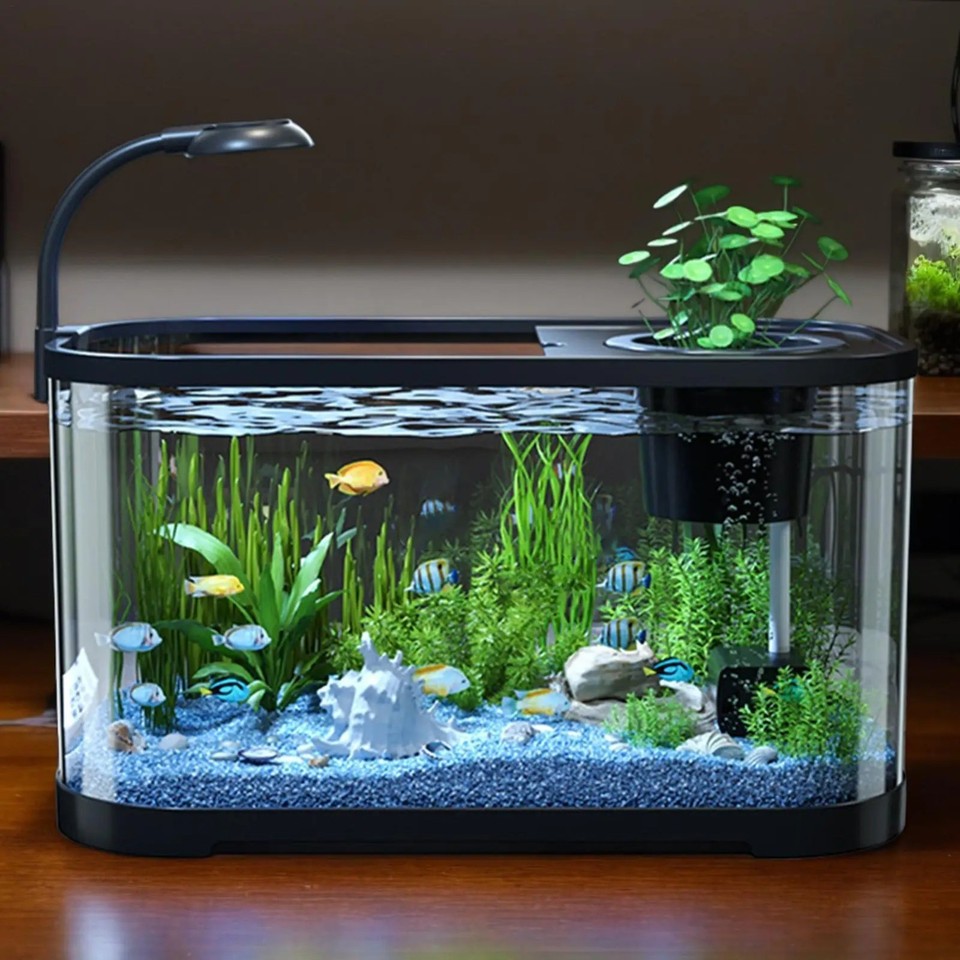 20L Aquarium Fish Tank with Light & Pump | Betta Shrimp Goldfish ...