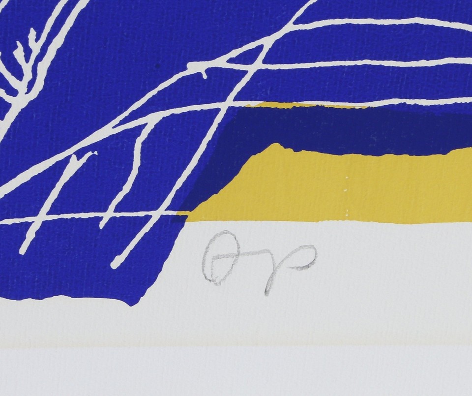 Aaron Schone, Blu Fiori, Serigrafia, Firmato IN Matita | eBay