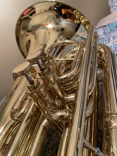 King Model 2341 BBb Concert Tuba, upright bell, with case | eBay