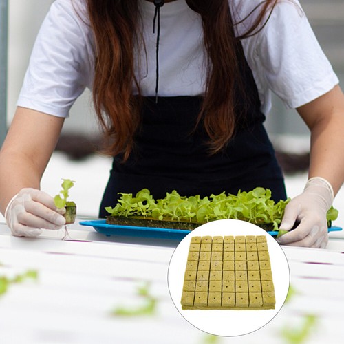 49 Pcs Soilless Cultivation Nutrient Block Hydroponics Growing System ...