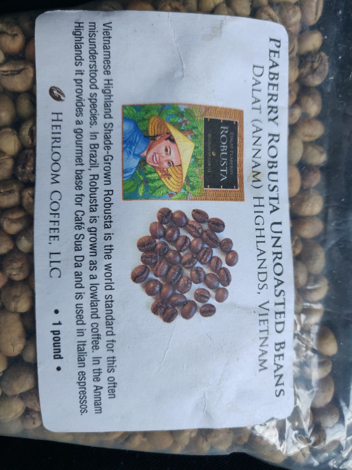 Peaberry Robusta Unroasted Beans, Green unroasted Coffee Beans by ...