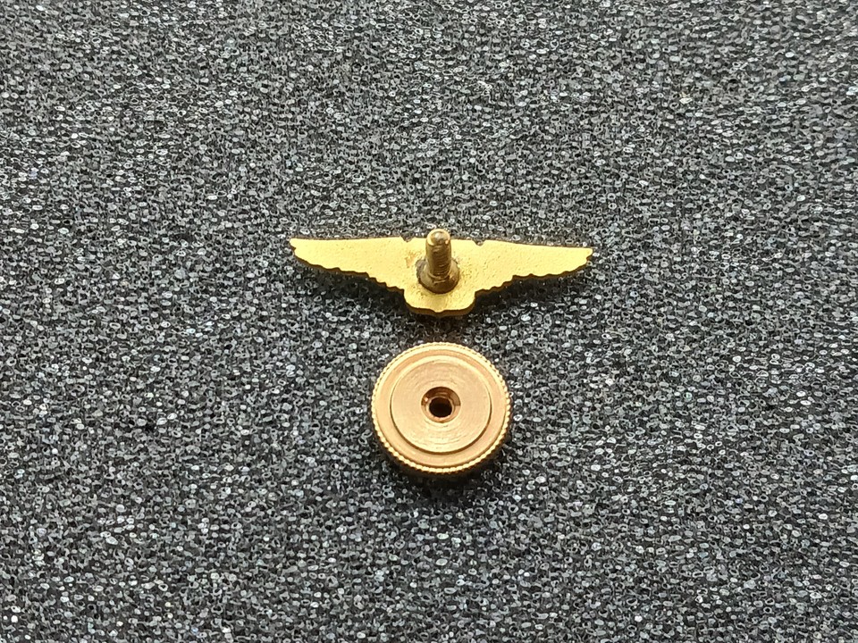 WWII Civilian Pilot Training CPT Pin | eBay