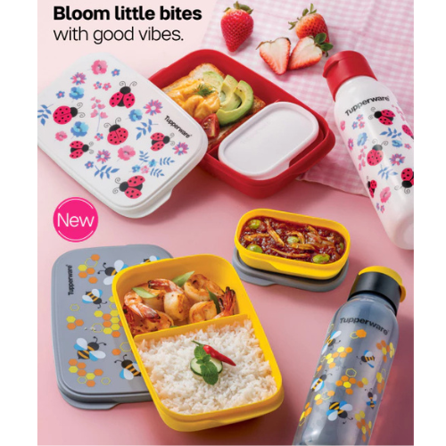 Tupperware Whimsical Garden Set Assorted color & Design - Birthday Gif ...