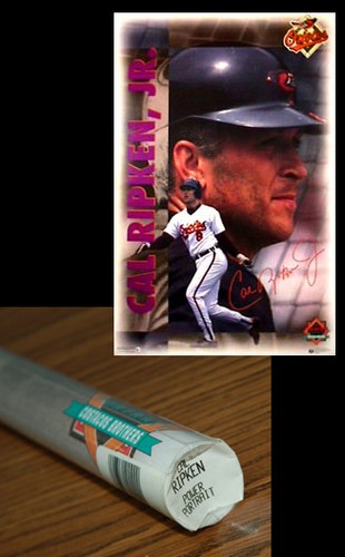 CAL RIPKEN JR. Baltimore Orioles 1995 Costacos Brothers Power Portrait ...