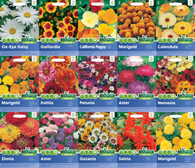Flower Seeds UK by Country Value for Pots Garden Patio Perennials ...