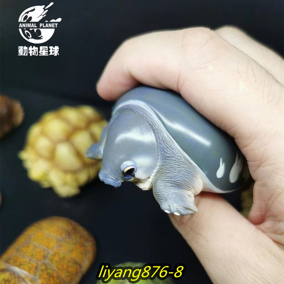 Animal Planet Laugh and Grow Fat Tortoise Blind Box Collector Turtle ...