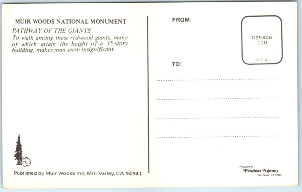 Postcard - Pathway Of The Giants, Muir Woods National Monument - Mill ...