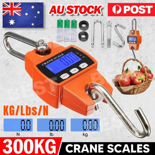Mini Portable Crane Scale 300kg 0.1kg LCD Digital Electronic Hook ...