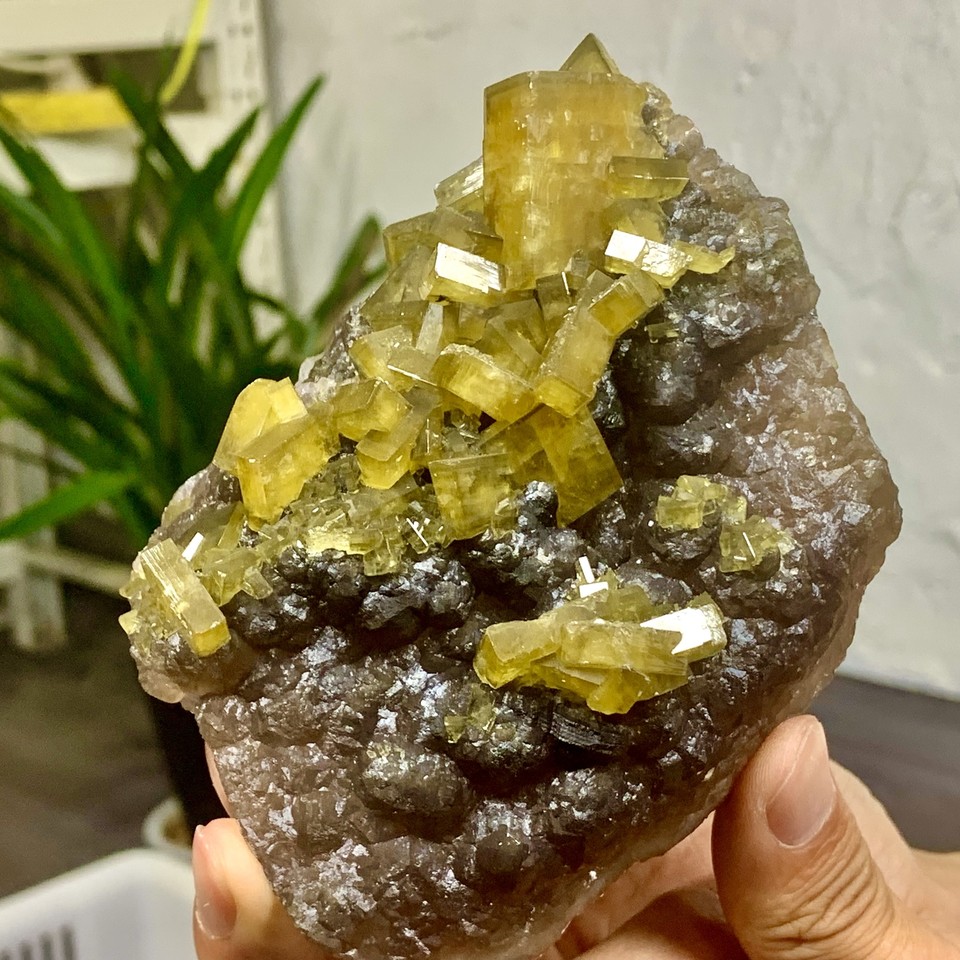 1.76LB Shiny Golden Cuboid Barite Crystal Based on the Purple Spherical ...