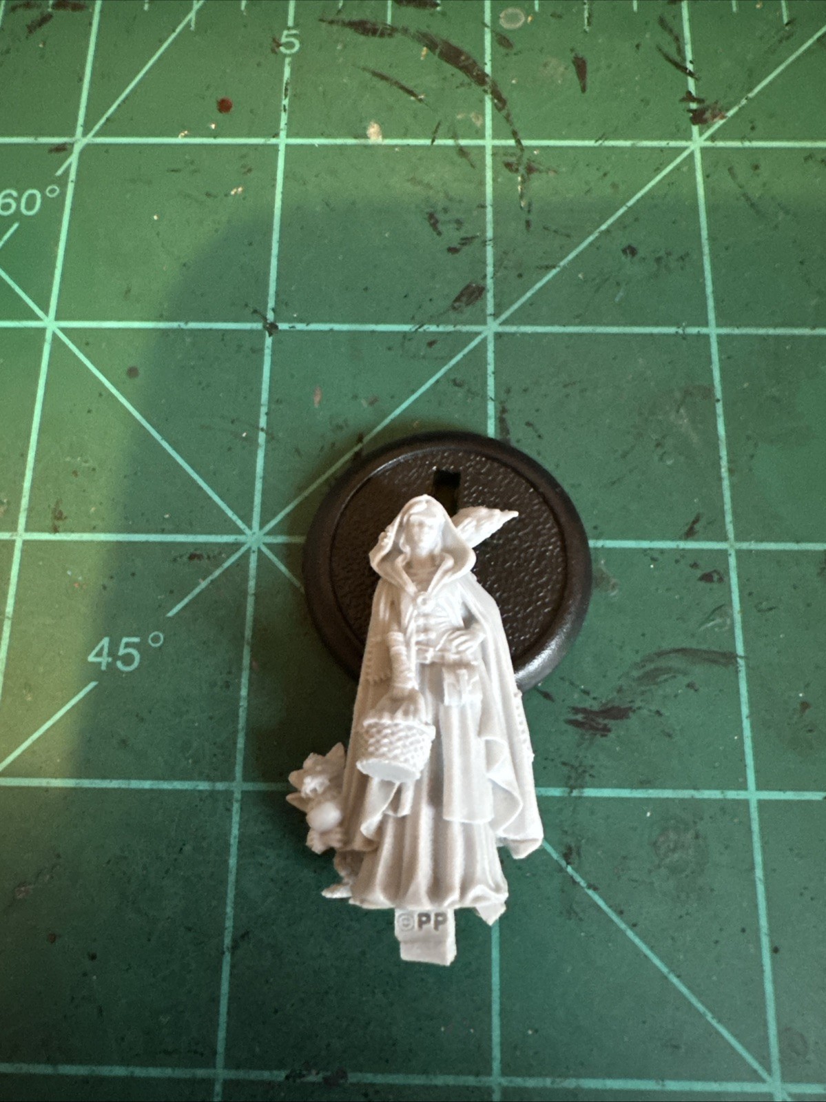 Lady Rose Riding Hood - Warmachine Mini Crate | eBay