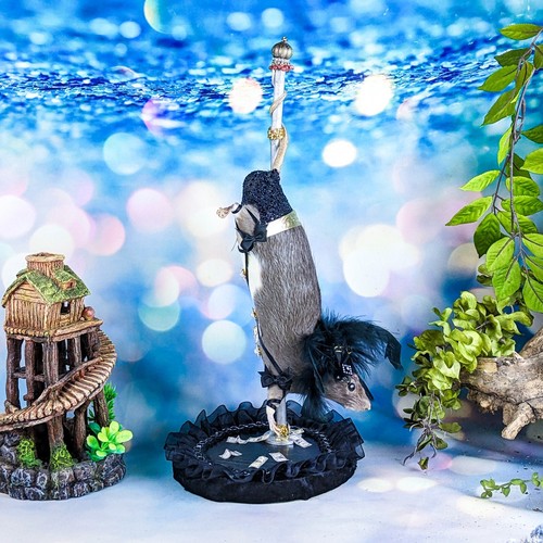 Stripper Rat Pole Burlesque Showgirl Taxidermy Oddities Curiosity decor ...