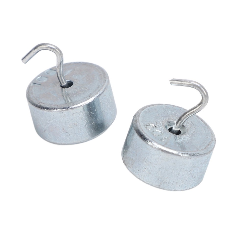 2pcs 10g Lab Hook Weight Double Hooked Weight With Case | eBay UK