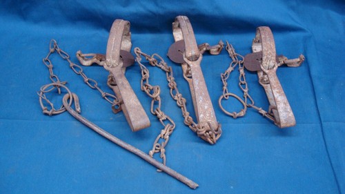 Vintage Lot of 3 Victor Number 1 1/2, 29 Oz Long,Spring Traps | eBay