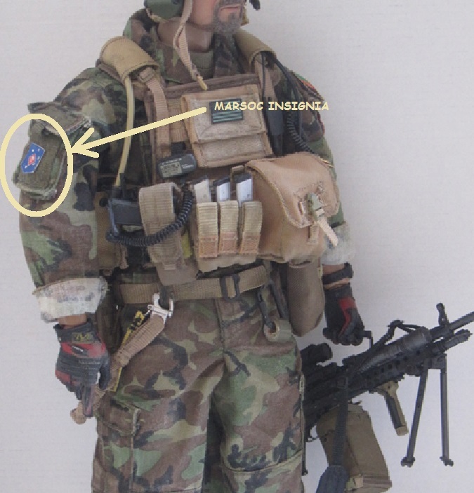 JSOC USMC SPECIAL OPS JTF OPERATOR AFGHANISTAN EOD INSIGNIA: MARSOC EOD ...