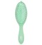 Wet Brush - GO GREEN TREATMENT&SHINE - CHOOSE FROM: | eBay