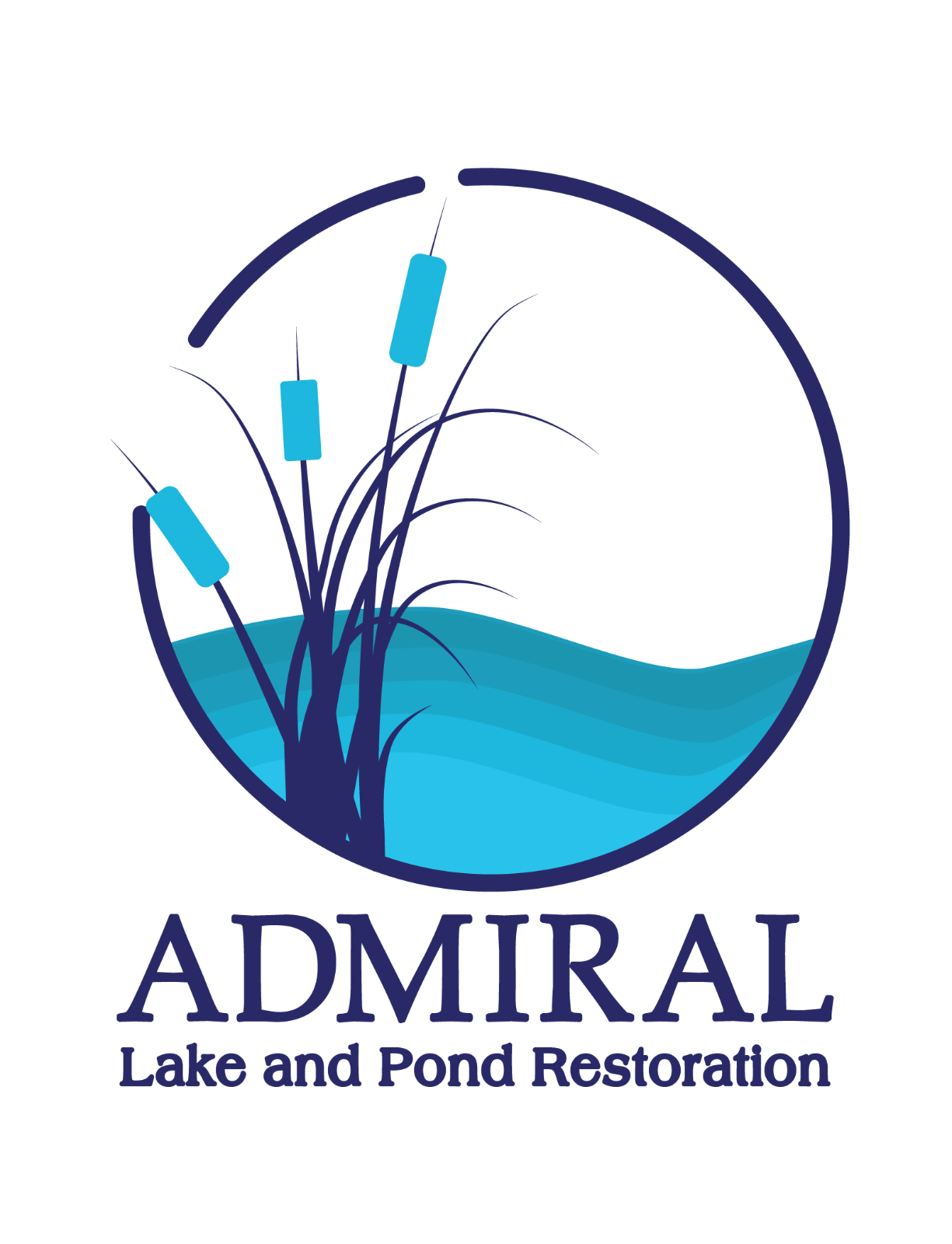 JetStream 1 HP Aqua Blower & Aqua Thruster w/ 100' Cord, Mounting Stake ...